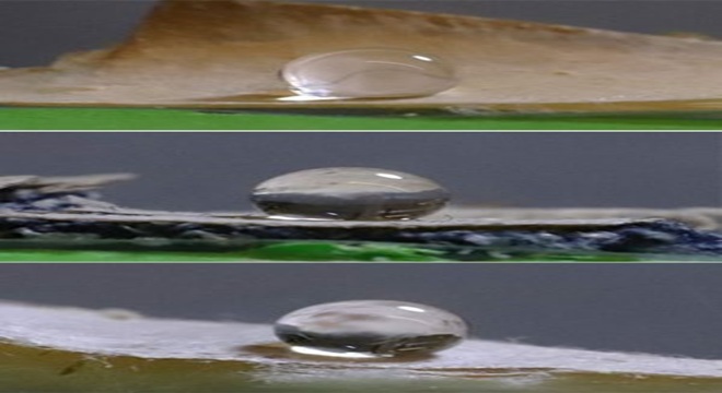 Scientists Develop Fungal-Based Waterproofing For Sustainable Fabrics