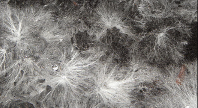 How Best To Recycle Europe’s Fast Fashion Waste? Grow Mushrooms On It ...